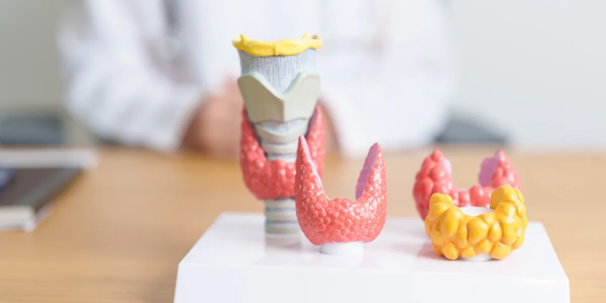 Comprendre les nodules de la thyroïde : un guide complet